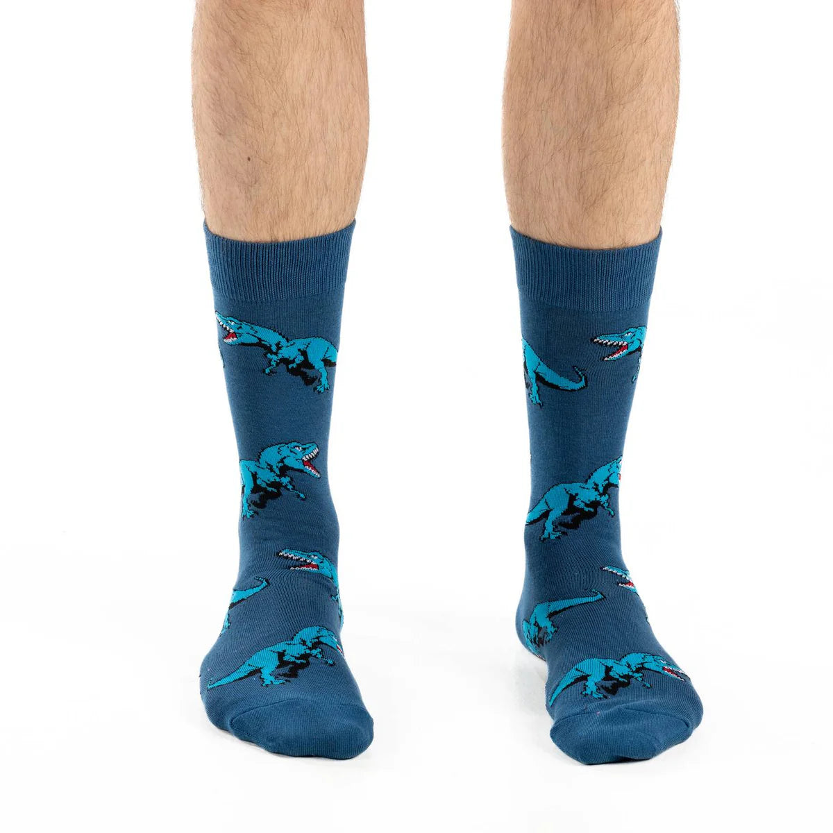 Men's Tyrannosaurus Rex Socks – Rue Saint-Patrick